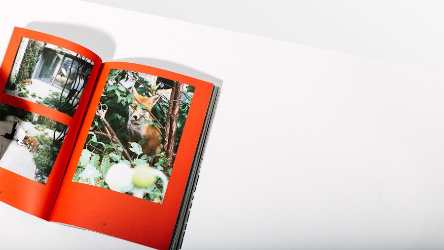 The Plant Magazine Issue 10